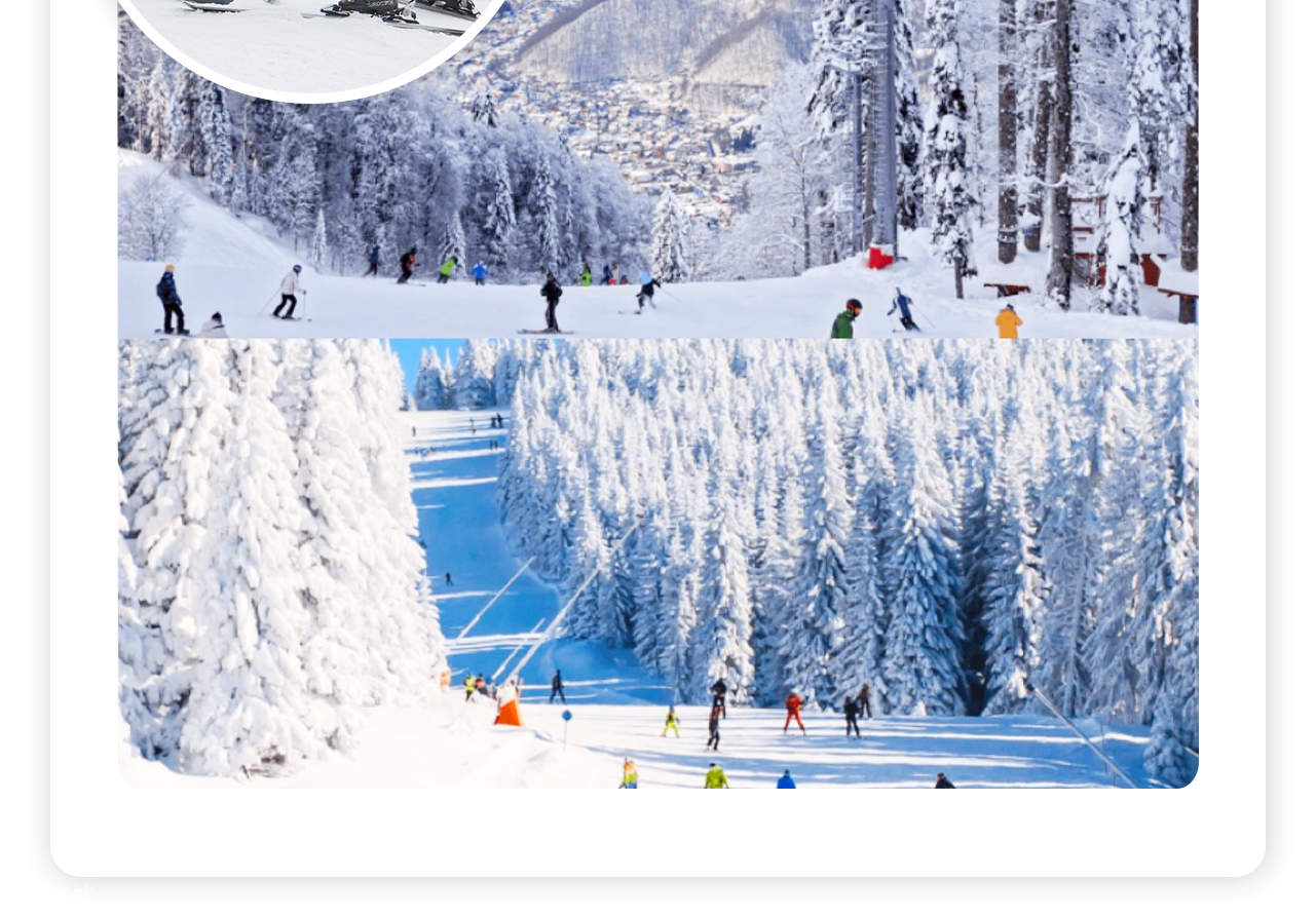 [Mt. Fuji Yeti Skiing & Hot Spring Experience] Mt. Fuji 2nd Stage YETI ...